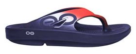 Oofos Sport Sandals -SOo GOod for Feet - Industry Outsider