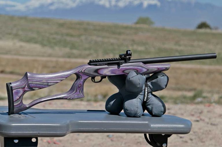 Boyds SS Evolution Gunstock for the Ruger 10/22 - Industry Outsider